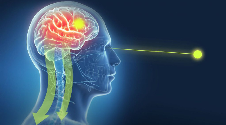 Clinical Use of Brainspotting in Psychotherapy – Minnesota Society for ...